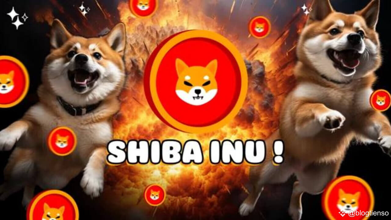Shiba Inu ($SHIB): The Journey from Meme Coin to Heavyweight Contender ...