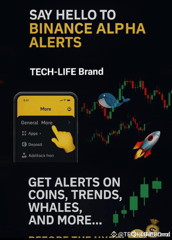 #BinanceAlphaAlert Binance Alpha Alert stands out by providi | BnB-Onol on Binance Square
