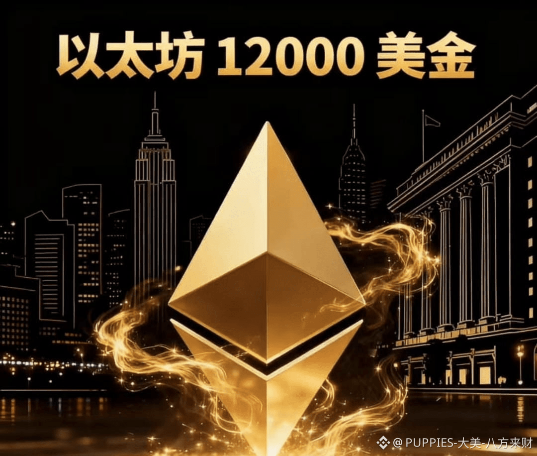 🎉 Zama mainnet is officially launched! The first privacy | PUPPIES-大美 ...