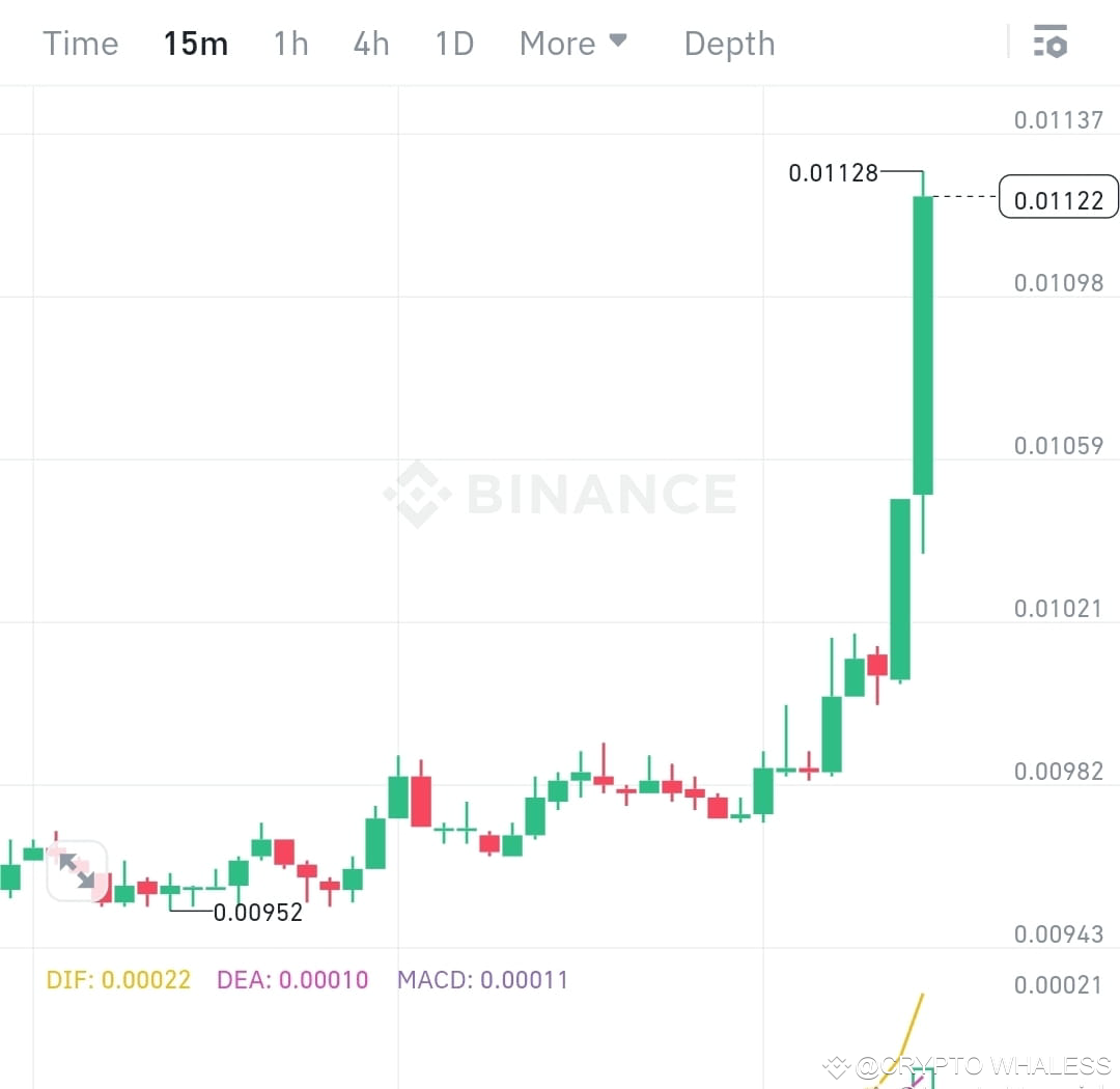 🚨 $1000CAT /USDT: EXPLOSIVE MOVE HAPPENING! 🚨 $1000CAT | CRYPTO WHALESS on Binance Square