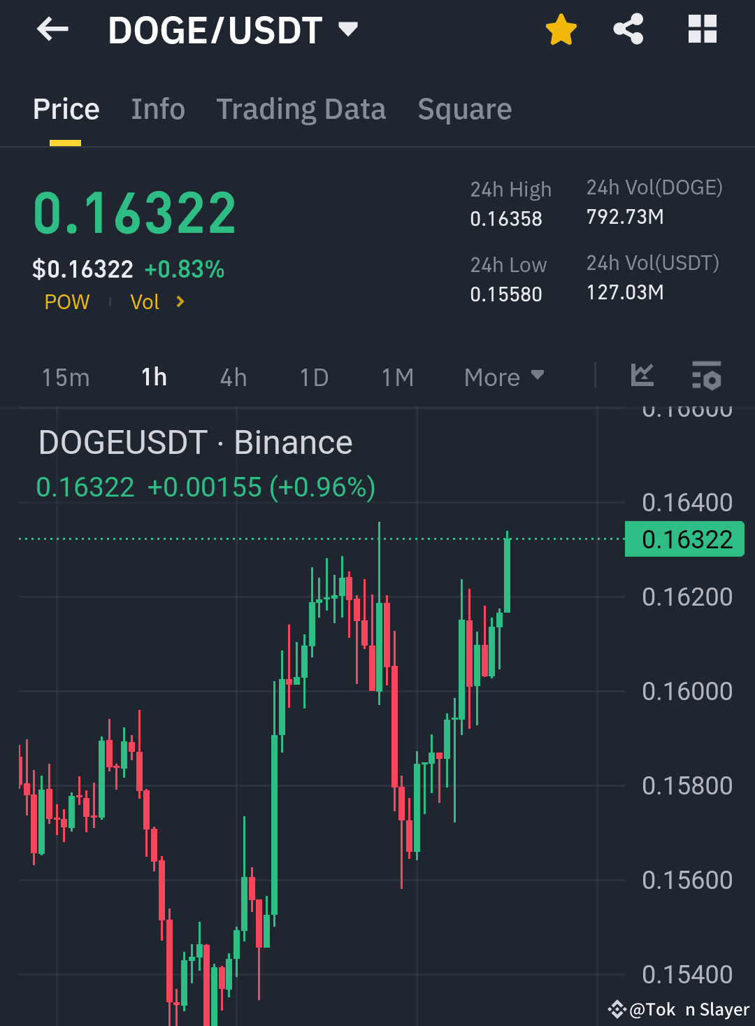$DOGE /USDT – Short Opportunity from Local Resistance DOGE | Token Slayer on Binance Square