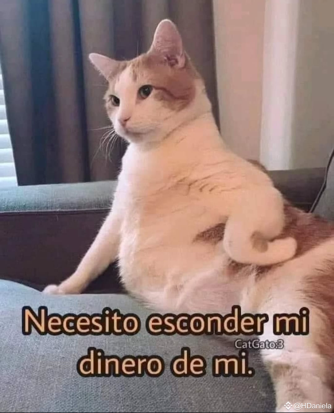 I usually don't get into meme projects. Yes, they can genera | HDaniela ...