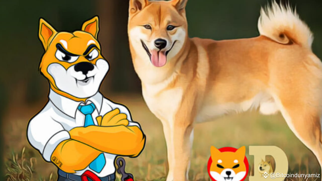 Bonk Price Prediction: BONK Dropped 10% in 24 Hours – What's Happening ...