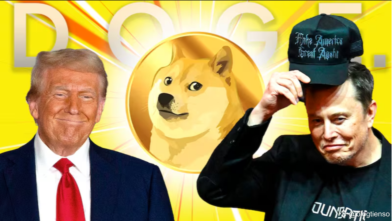 More Than Just a Meme: Why Dogecoin Is Popular and Why $DOGE Still Has ...