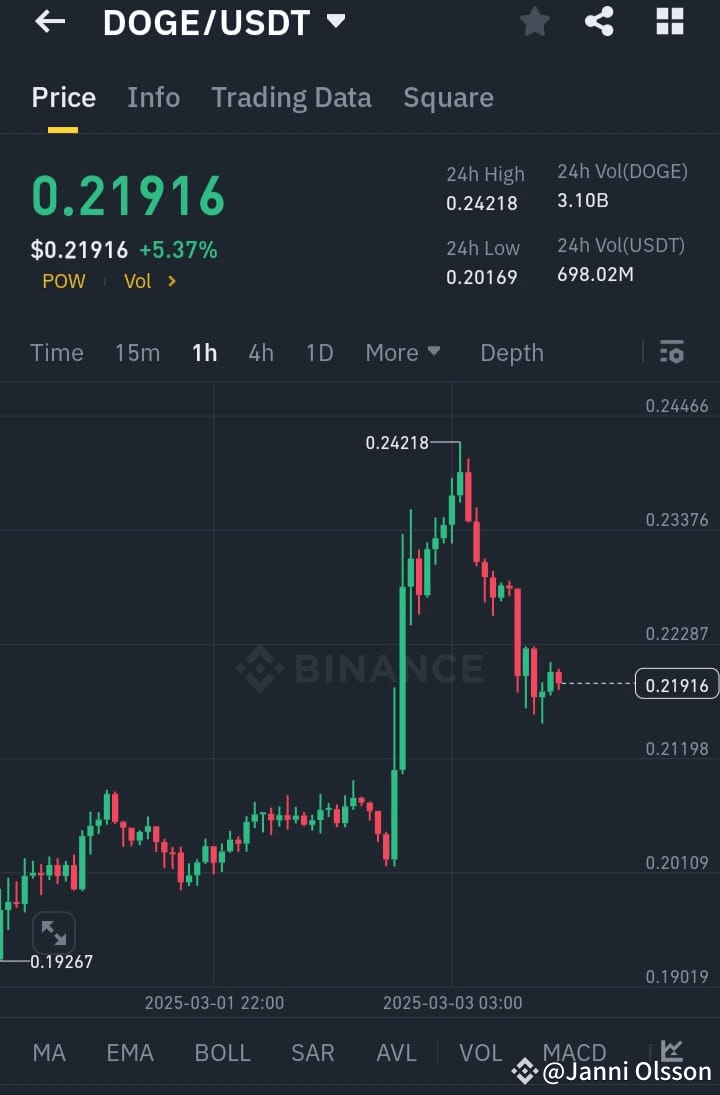 🐶$DOGE DOGE Rockets to $0.24 Before Retracing! 🚀 Dogec | Janni Olsson on Binance Square