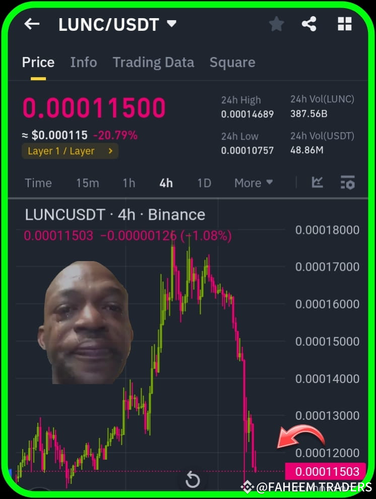 $LUNC 🚨 LUNC TOKEN PRICE CRASHED 🚨 👀 LUNC Token p | FAHEEM TRADERS on ...