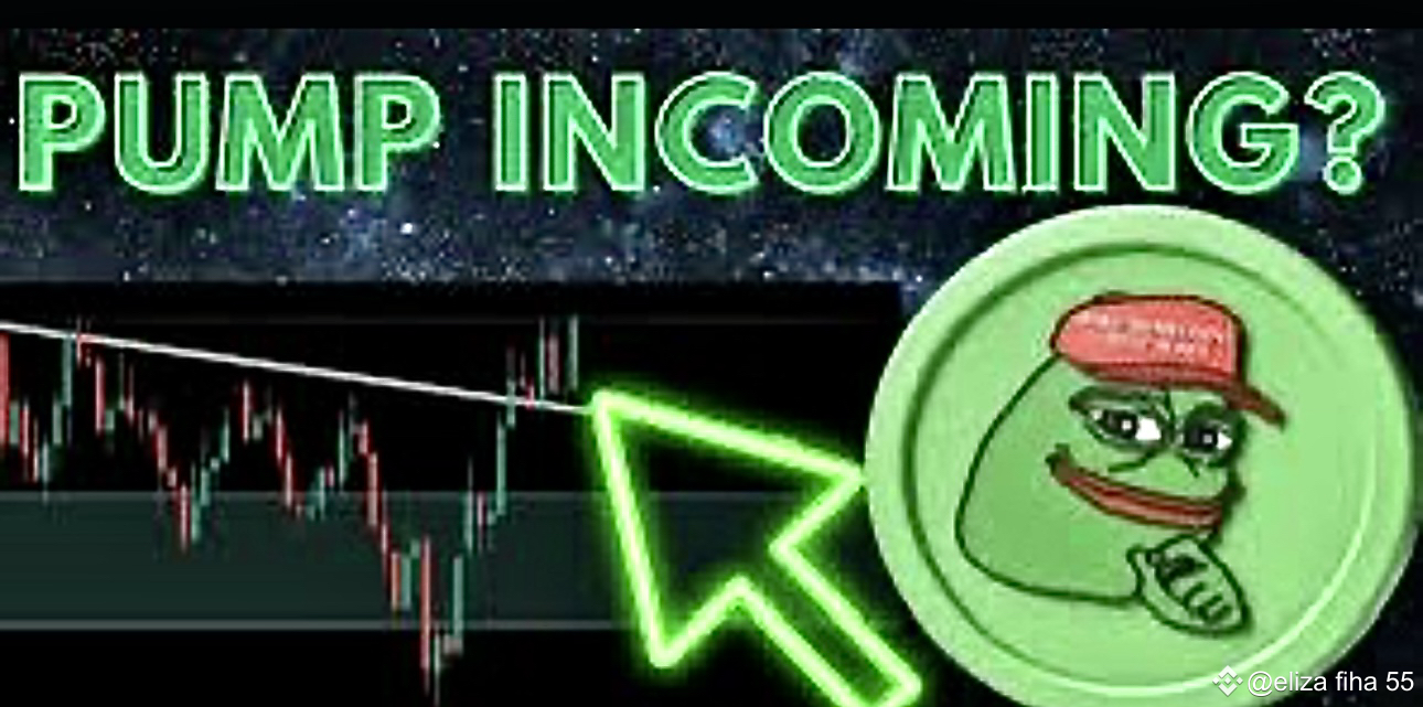 🚨 Whale Alert: $42.2 Billion $PEPE Withdrawn from Binance | eliza fiha 55 on Binance Square