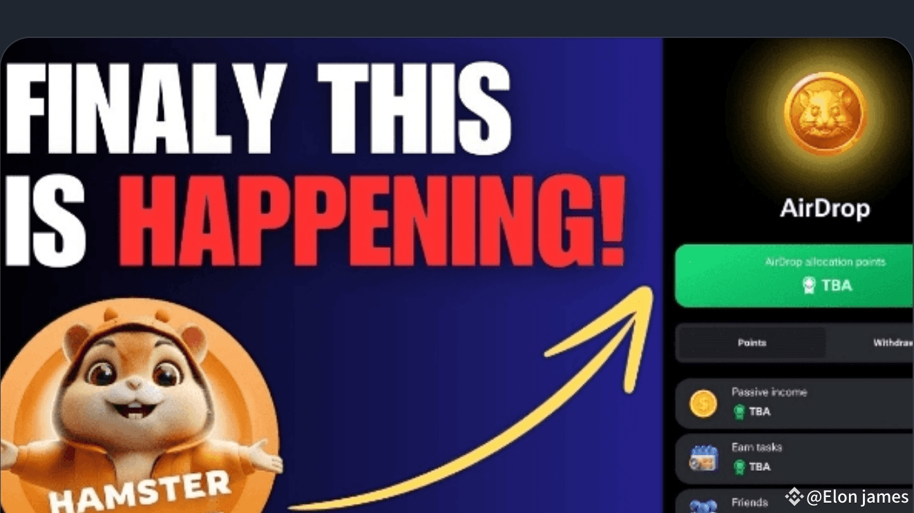 Exciting News for $HMSTR Investors!😱😱🚨🚨 | Elon james official on ...