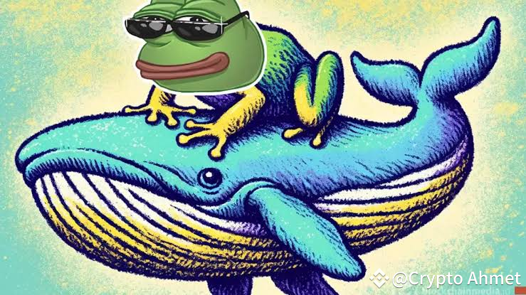 😱🫨Frightening 1.2 trillion PEPE transfer from meme money whale 🐋🐋 ...