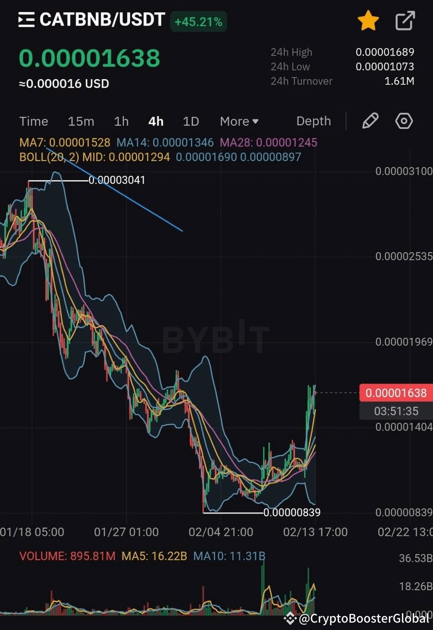 The best Binance meme coins don’t wait—$1000CAT is moving fa ...