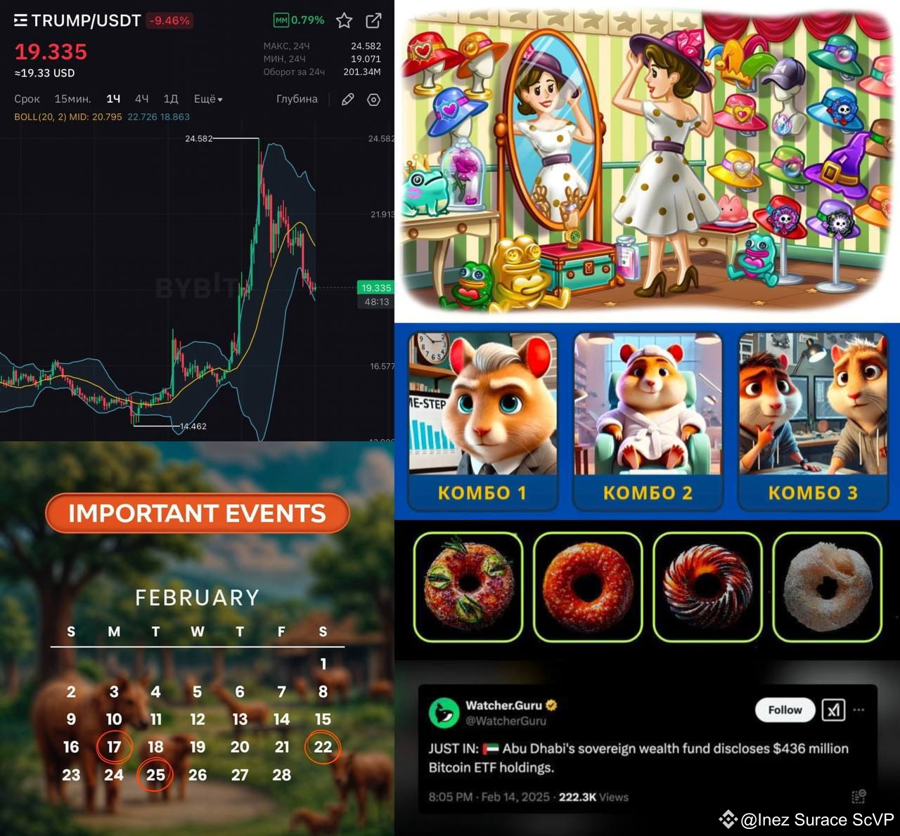 🐼 $ZOO Listing on February 25 The token stamp will be from | Himikmoney ...