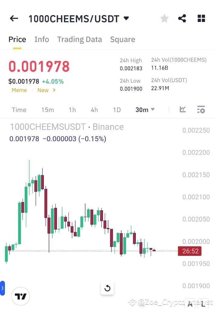 ⚠️ $1000CHEEMS /USDT STRUGGLING AT SUPPORT — BEARS SLOWLY TA | Zoe_Crypto analyst on Binance Square