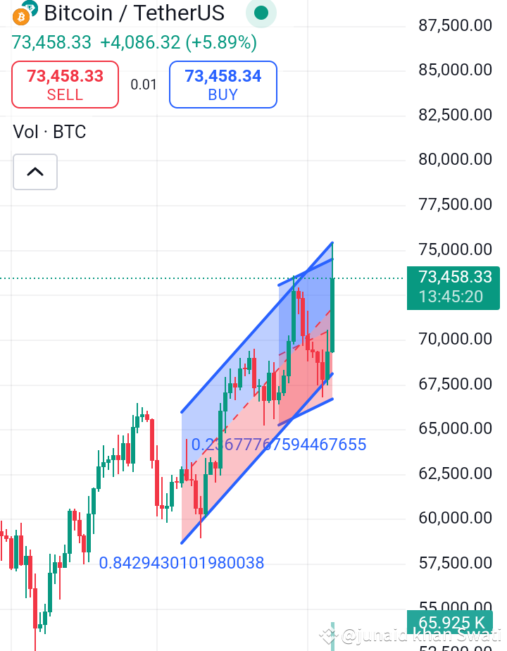 I locked BTC in a box now it can't run anywhere check it out | Bree ...