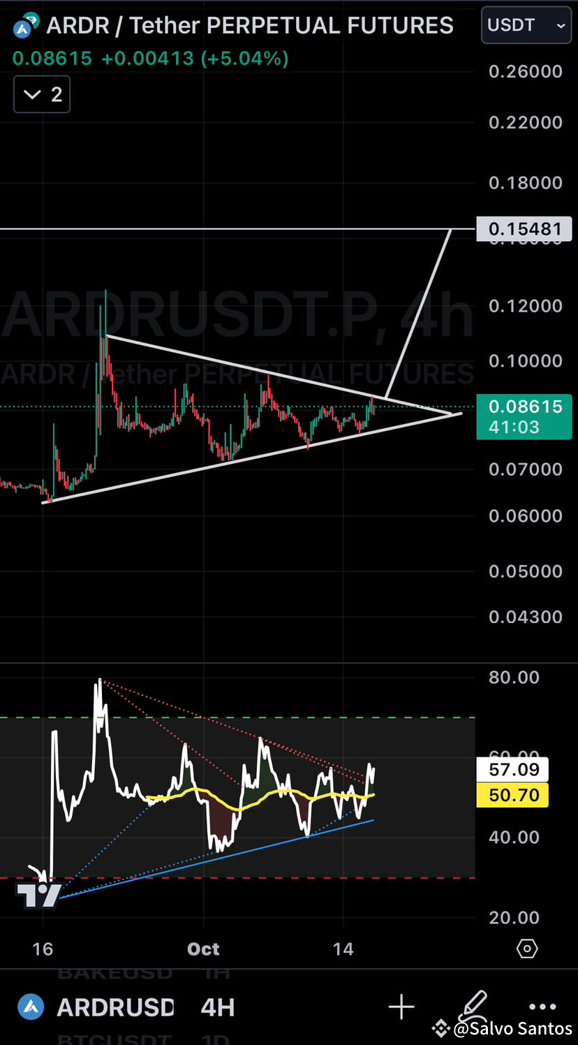 $ARDR 4h | Salvo Santos on Binance Square