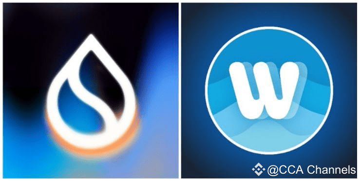 🔥Sui is on the path to developing towards an ETF. Will WAVE | CCA ...