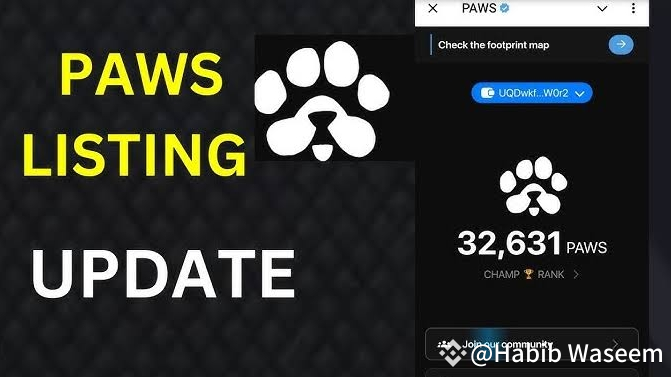 PAWS Token Almost Set for December 2024 Exchange Listing | Insights by ...