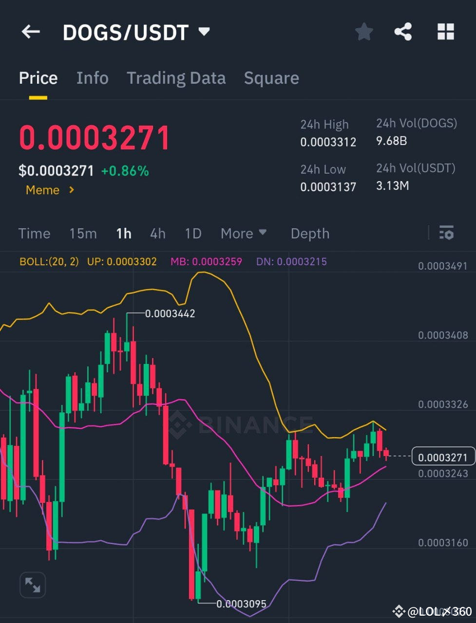 🔰 $DOGS /USDT Signal 🚀 Position : BUY (Considering stable | Sakib Al Hasan Naim on Binance Square