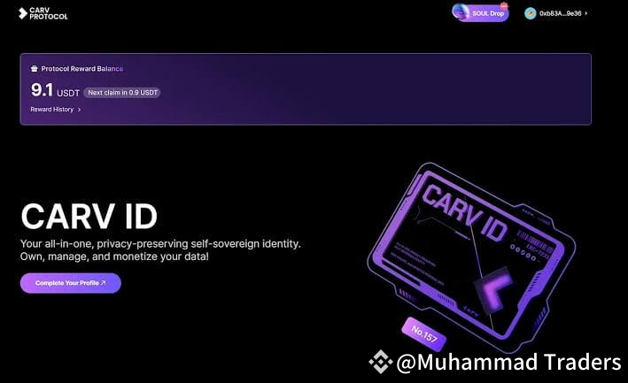 $RARE $TON $SYN @CARV 🔥🔥 CARV protocol | Muhammad Traders on Binance Square