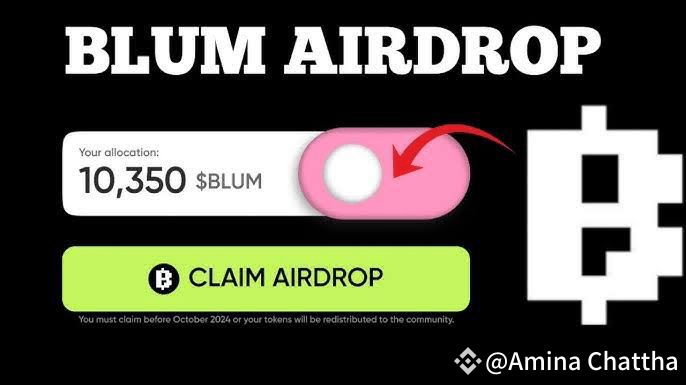 How Many $BLUM Tokens Will You Get? Airdrop Allocation Explained ...