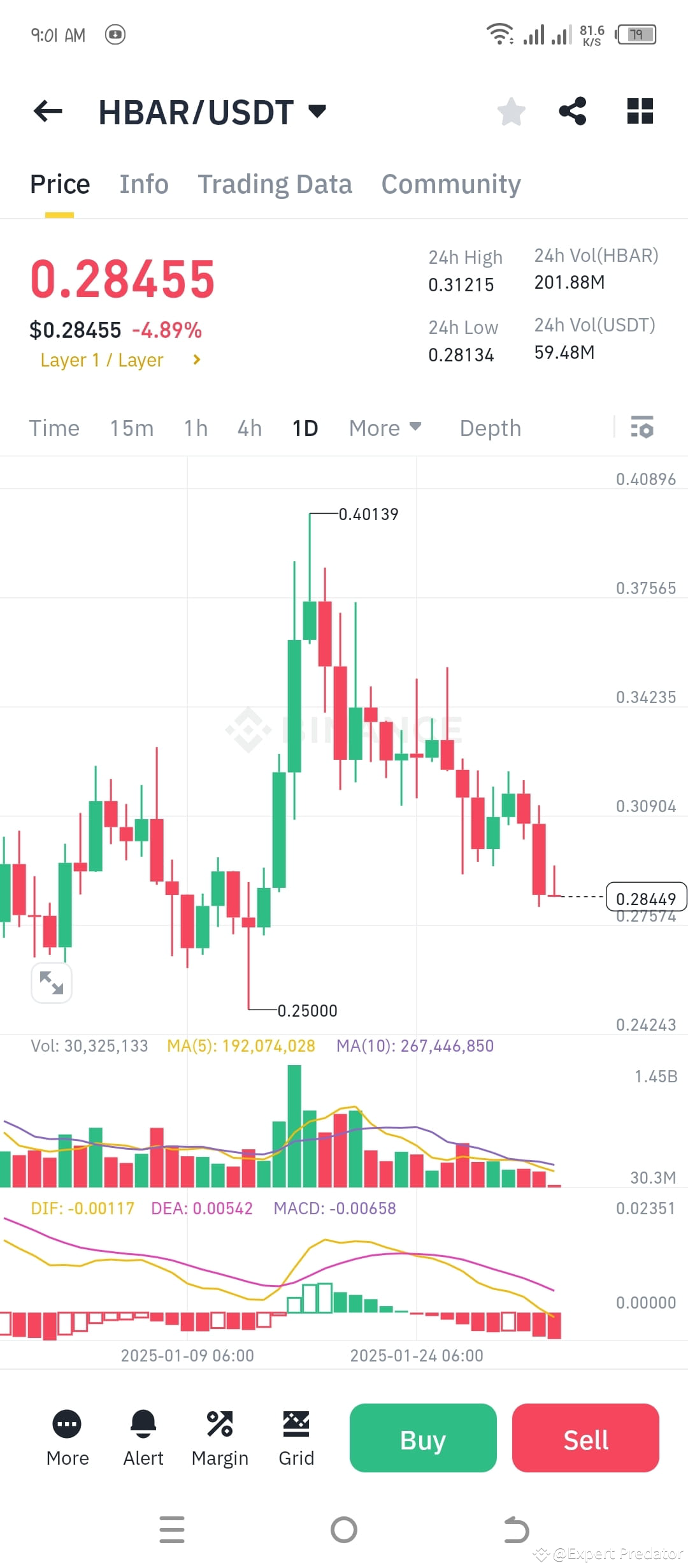HBAR Price Prediction: Could Big Gains Be Coming in the Next | CHÂRT ...