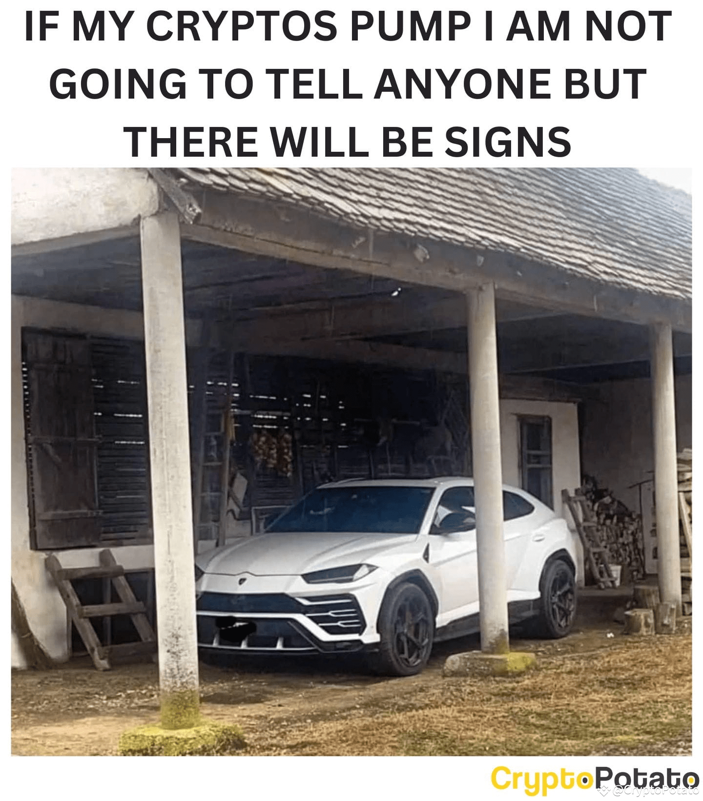 Wen Lambo? | CryptoPotato on Binance Square