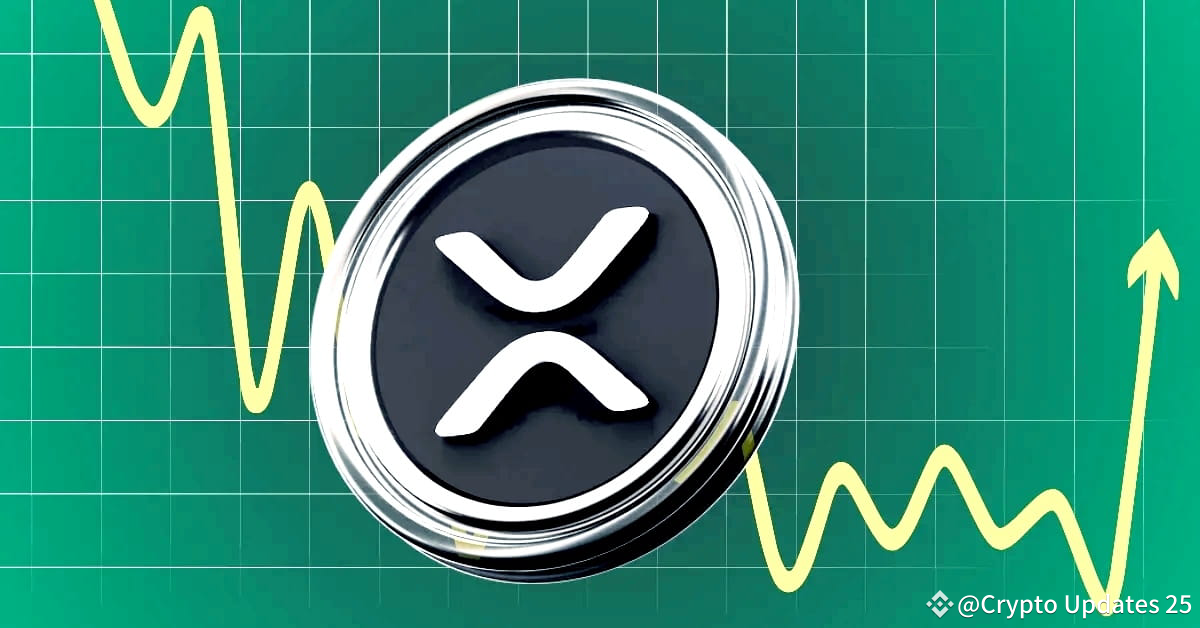 Ripple CTO Explains Why Bitcoin Maxis Are Attacking XRP XRP | Crypto ...