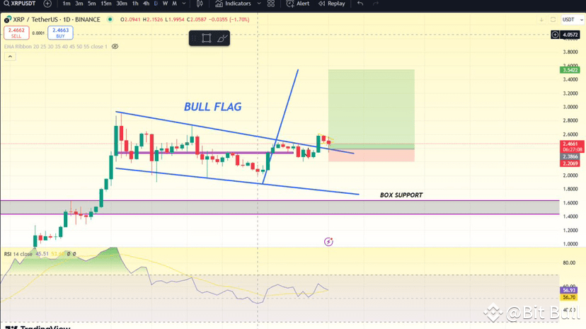 XRP signal update | Bit Bull on Binance Square