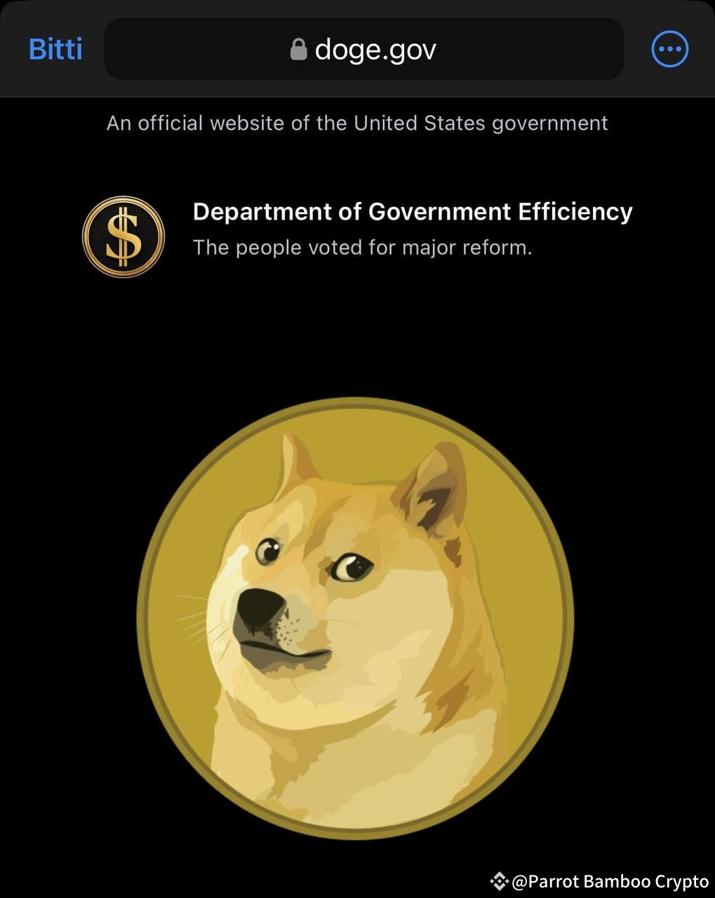 🚨 The Government Efficiency Department (DOGE) has launched | Parrot ...
