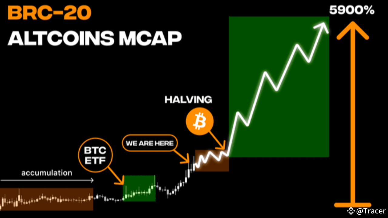 Altcoins will explode in 2 weeks! | Tracer on Binance Square
