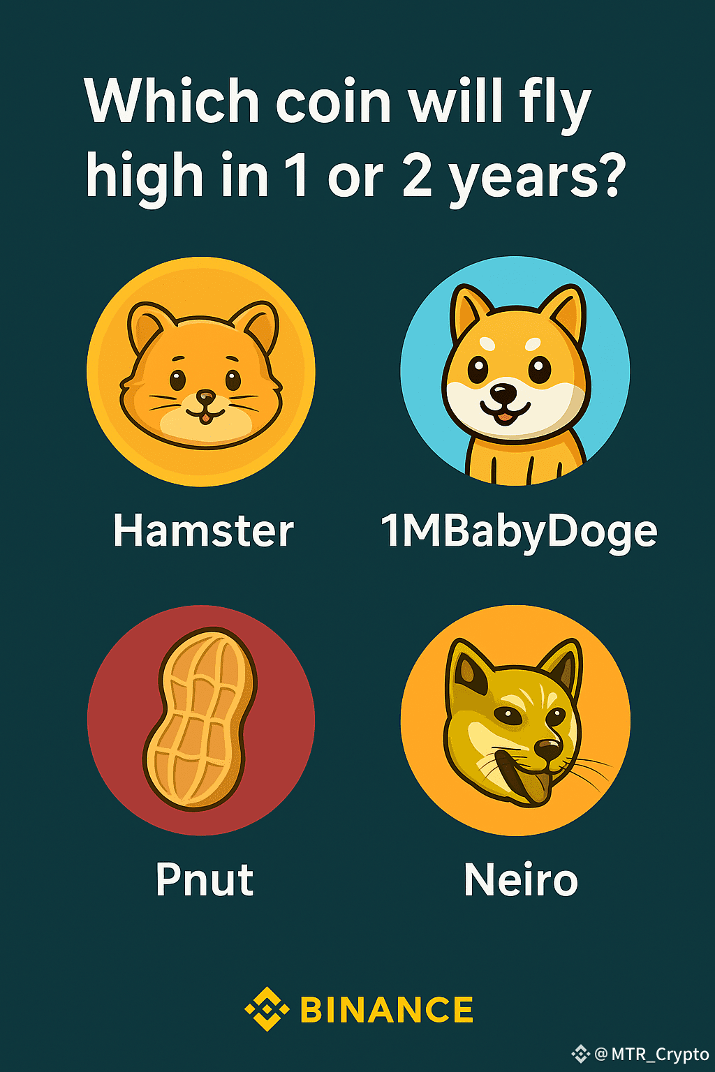 🚀 Which coin will fly high in 1 or 2 years? 🤔 1️⃣ Hamster | MTR_Crypto ...