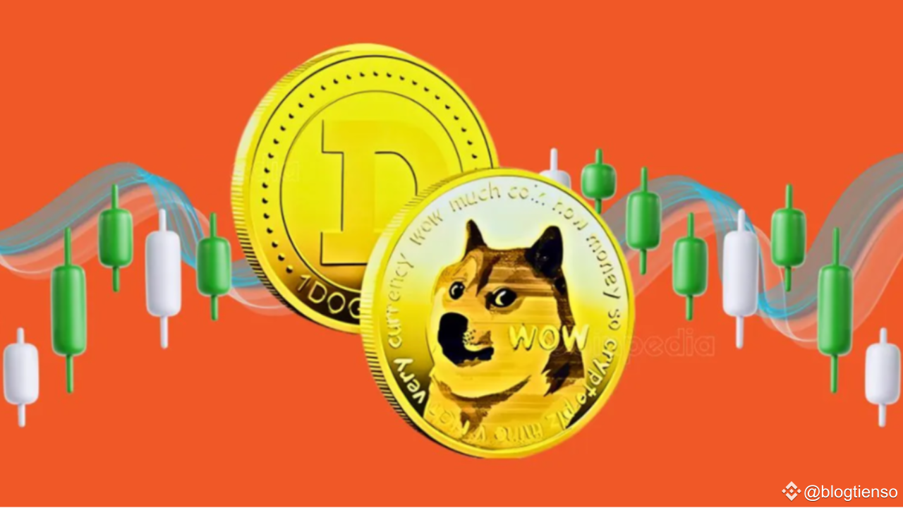 Dogecoin Is in a Decisive Phase - Here’s the DOGE Price Prediction for Next Week | blogtienso on ...