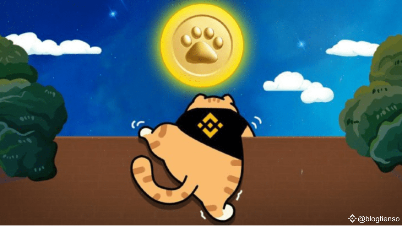 Catizen Price Prediction 2024-2030: Will This Play-to-Earn Token Reach ...