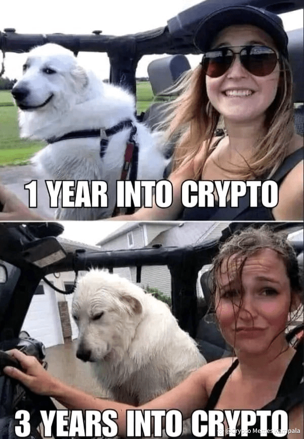 Crypto not for the weak $FTT $BURGER $TROY | Crypto Memes Kampala on ...