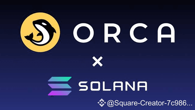 The most important information about ORCA coin. | BRAHIMBOU on Binance ...