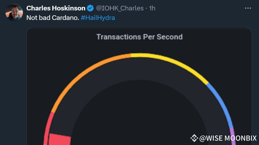 🚀 Cardano Hits 134,464 TPS with Hydra! | WISE PUMPS on Binance Square