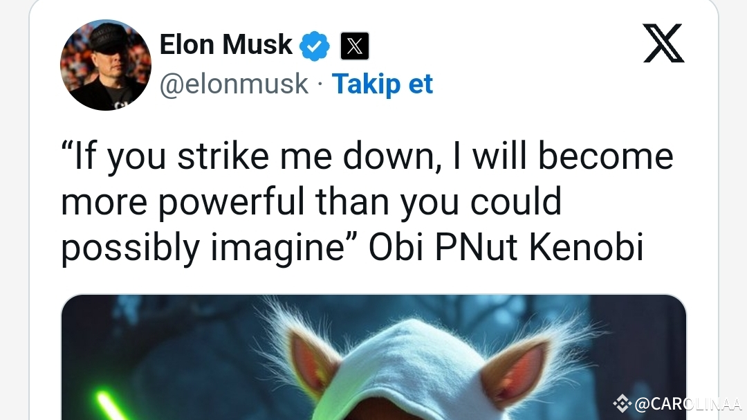 What is Peanut Coin (PNUT)? | Carolinaà on Binance Square