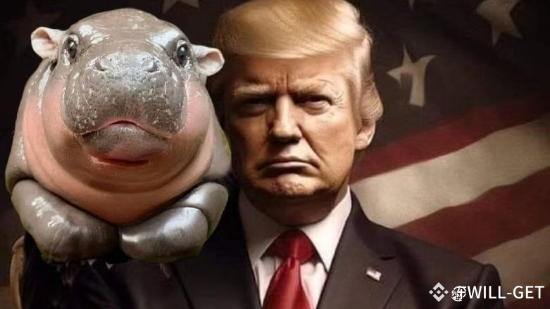 Why is Ethereum MOODENG called the new king of MEME? | WILLMOON on ...