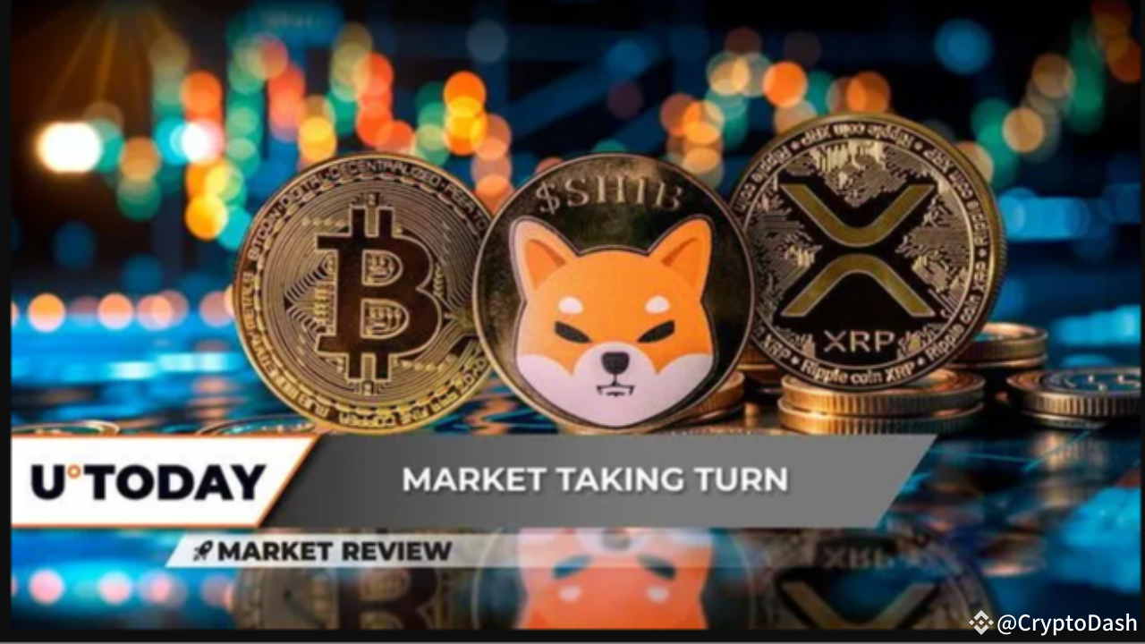 Can Shiba Inu ($SHIB) Reach $1 in 2025? The Answer May Shock You! | CryptoDash on Binance Square