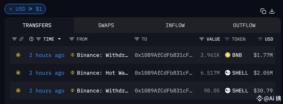BSC Ecosystem Major Holder 0x10B...145d1 Established a Posit | Ai 姨 on ...