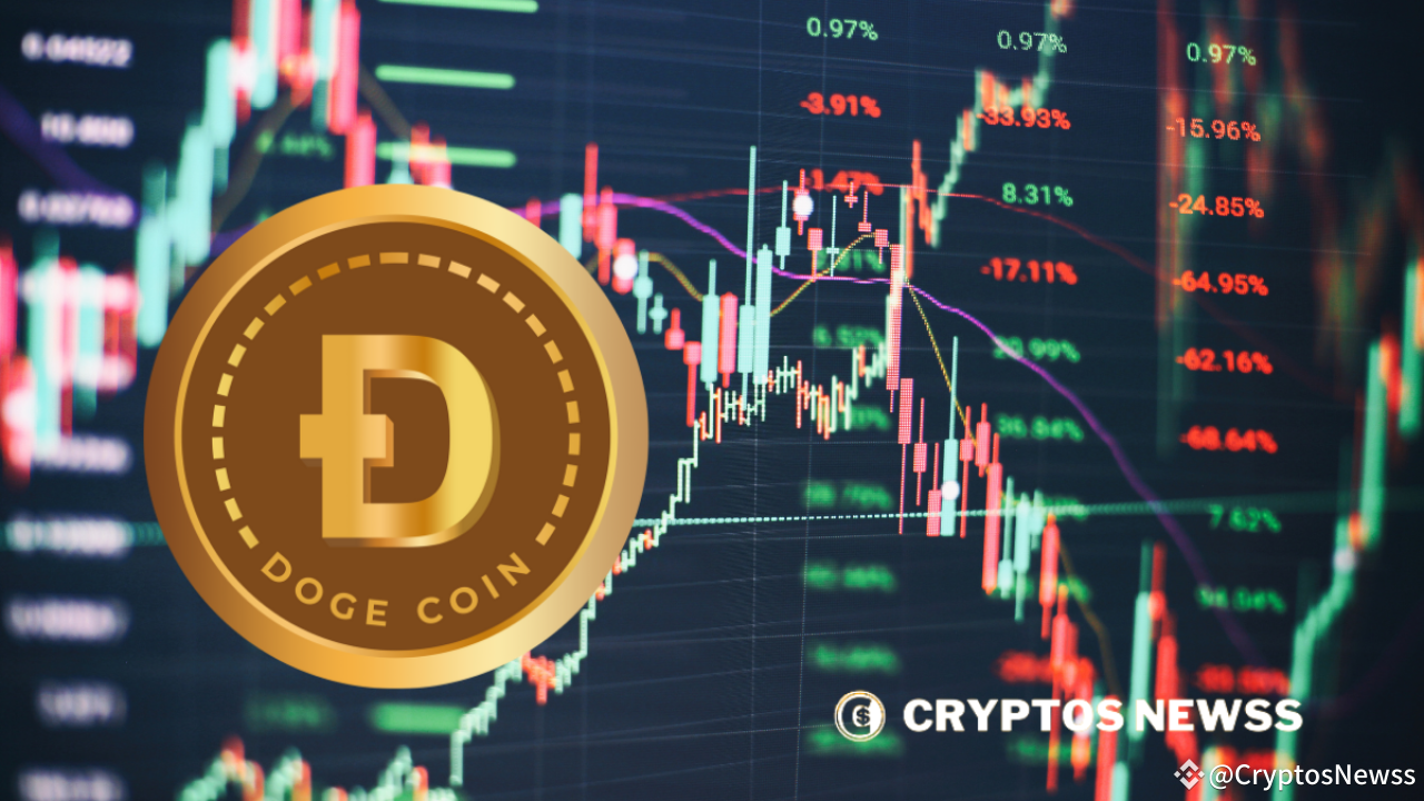 Whales Accumulate 200M DOGE as Dogecoin Eyes $0.8 ATH in 2025 Cycle | CryptosNewss on Binance Square