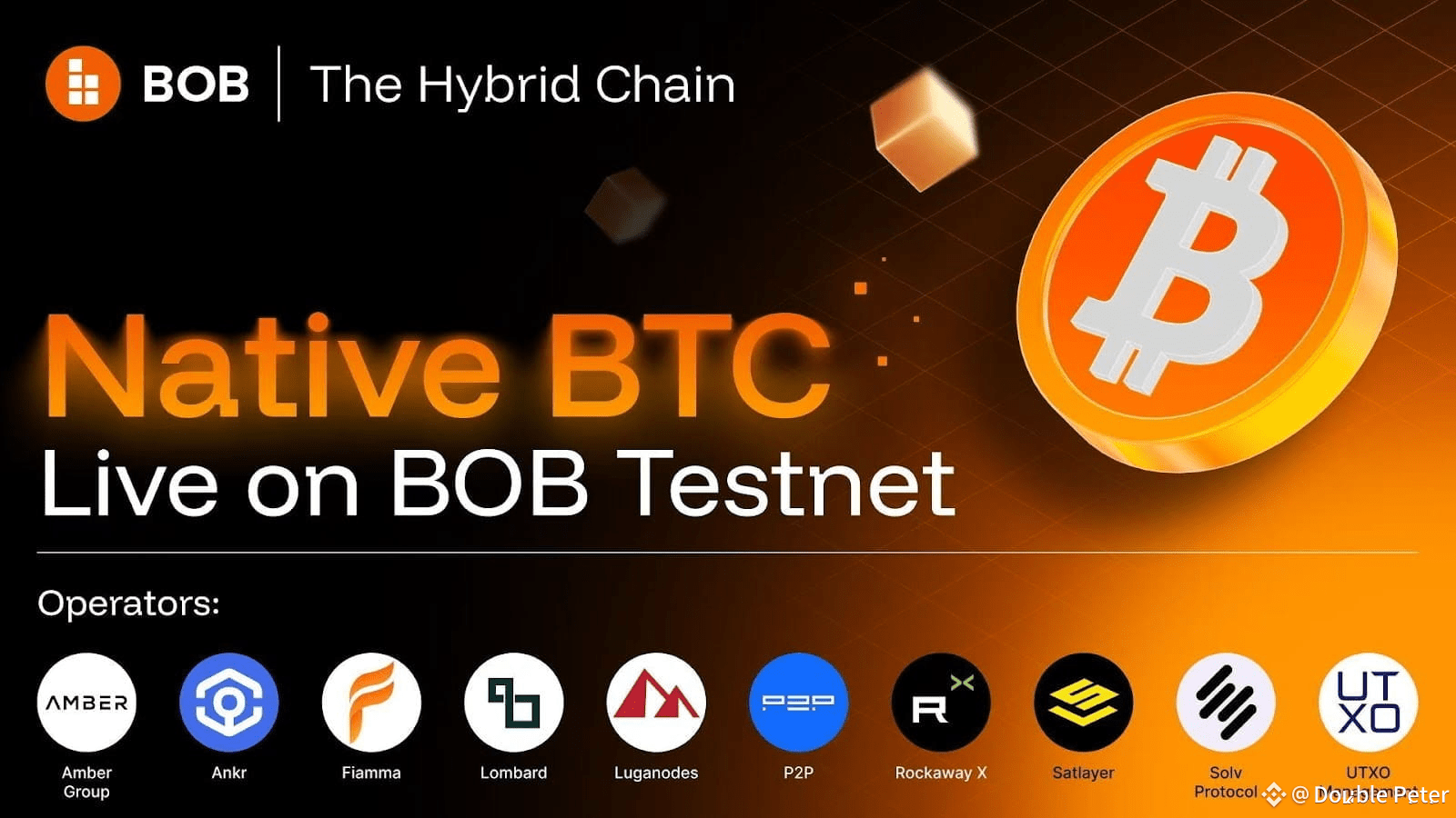 BOB announces the introduction of native BTC into the DeFi | Peter ...