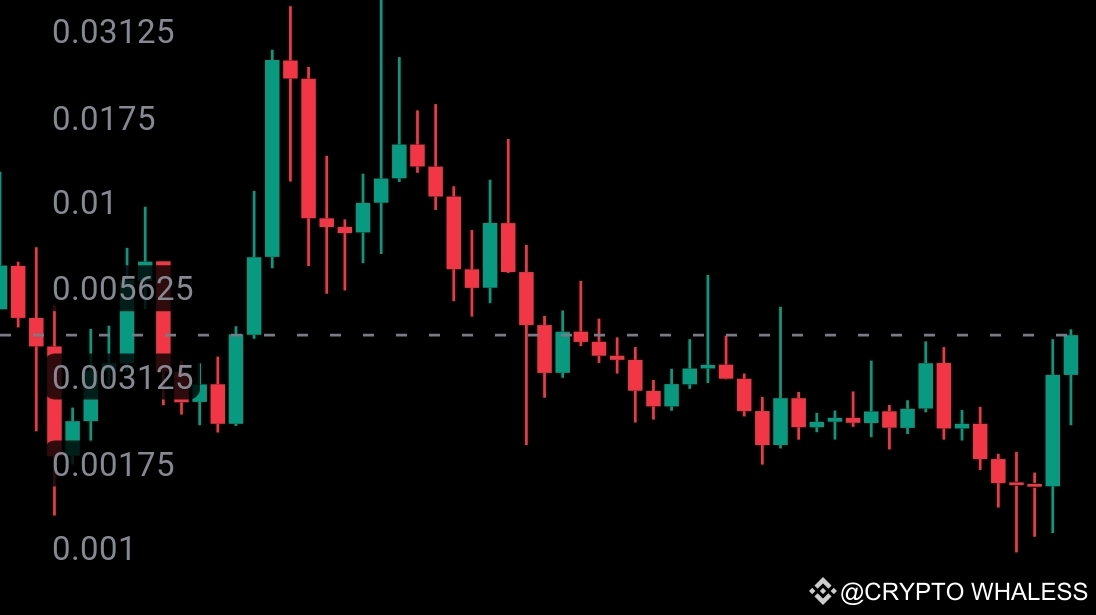 TROY/USDT Analysis: Bullish Outlook with Cautious Considerations | CRYPTO WHALESS on Binance Square