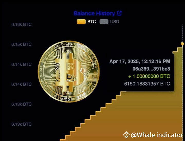 $BTC NEW: 🇸🇻 El Salvador today bought more bitcoin, which | Whale indicator on Binance Square