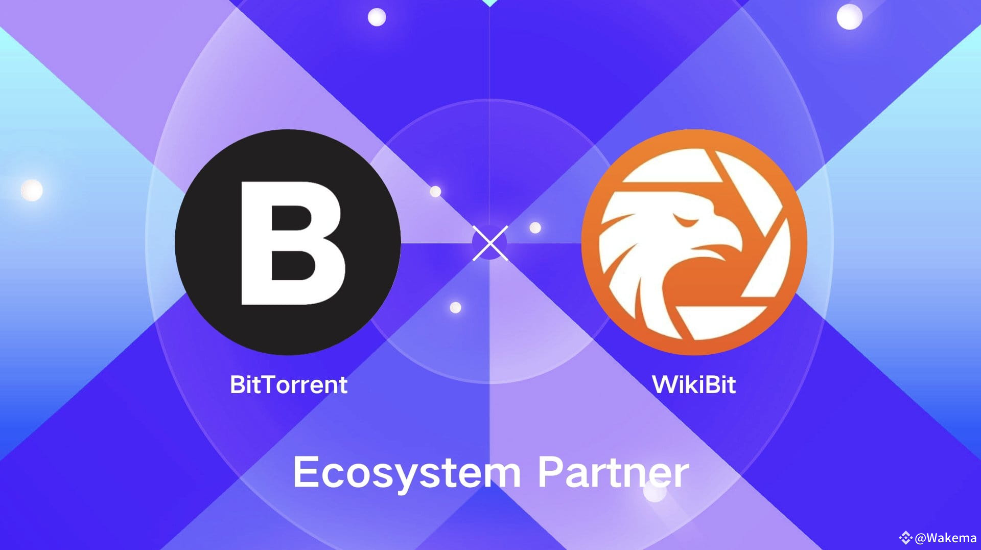 #BitTorrent ($BTTC ) has announced an ecosystem Partnership | Wakema on ...