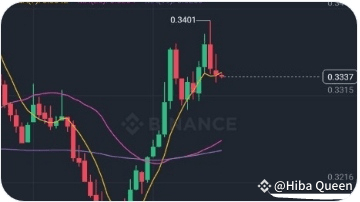 **"Maximize Your Gains: $W/USDT Complete Trading Set-Up | Hiba Queen on ...
