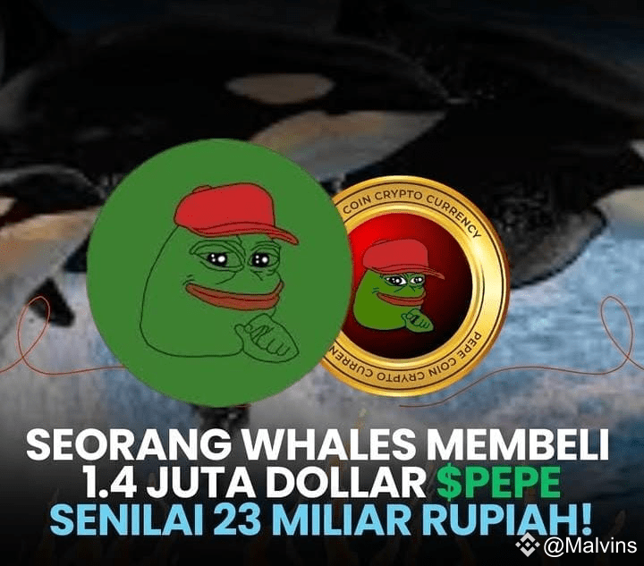 Whales Shake the Market! 73,677,350,065 Bought for 1.4 Milli | Malvins ...