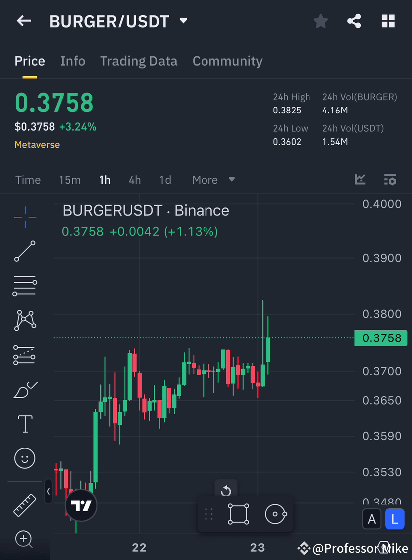 $BURGER /USDT Bull Run Confirmed!💯🔥 BURGER/USDT has broke | Professor Mike on Binance Square