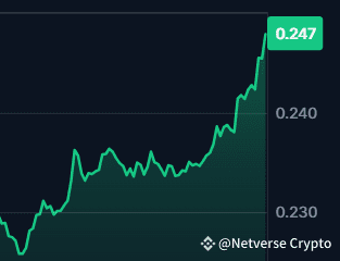 $1 $HBAR is FUD!! 💥 where's the HEDERA fam at $HBAR $BTC | Netverse Crypto on Binance Square