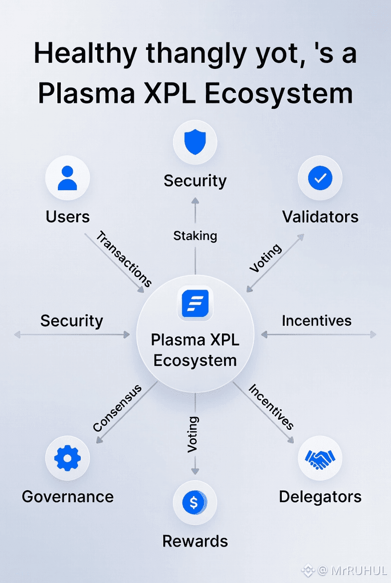 What a Healthy Plasma XPL Ecosystem Looks Like | MrRUHUL on Binance Square