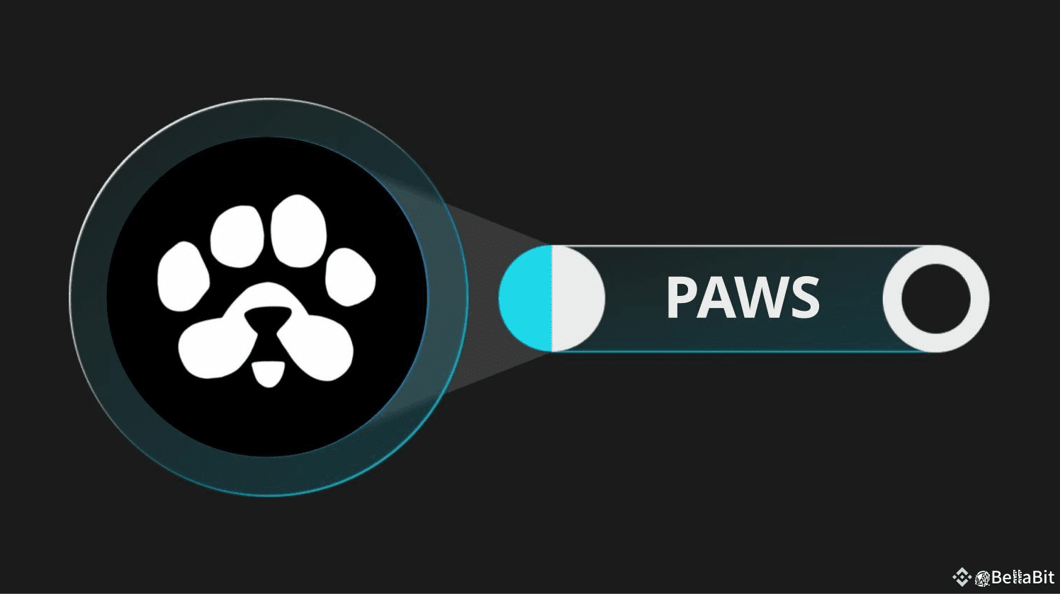 PAWS Token Launch: Exchange Listings, Binance Speculation, and Price ...